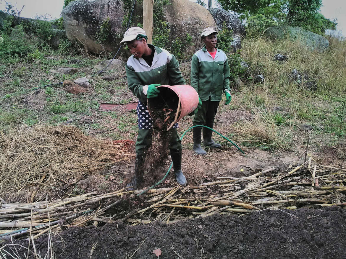 One House, One Garden Program – DesigningHope