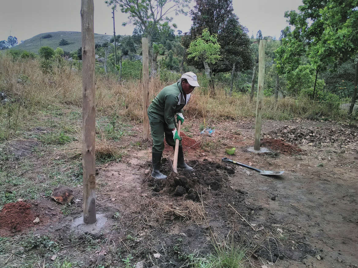 First “One House One Garden” – DesigningHope