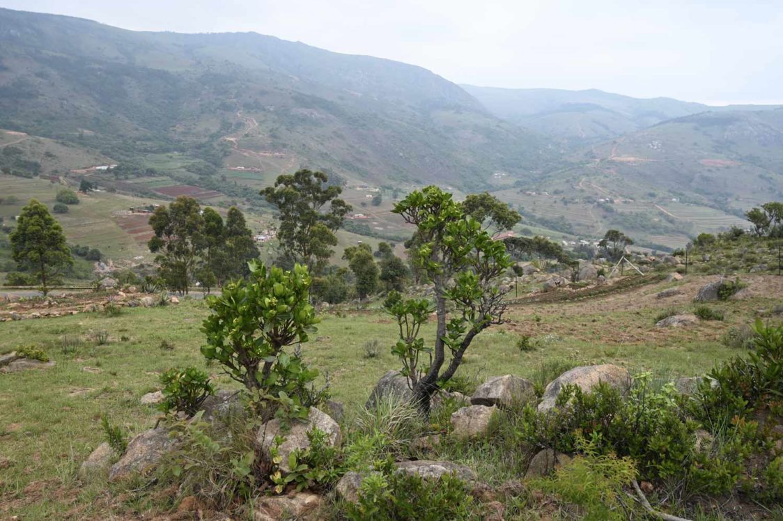 The Garden of Skills offers a typical Eswatini landscape – DesigningHope
